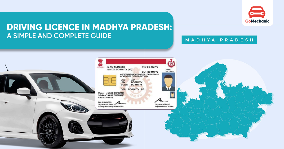 Driving Licence in Madhya Pradesh - How to Check & Apply